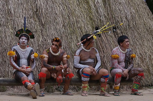 Ŧhe ₵oincidental Ðandy: November 2011